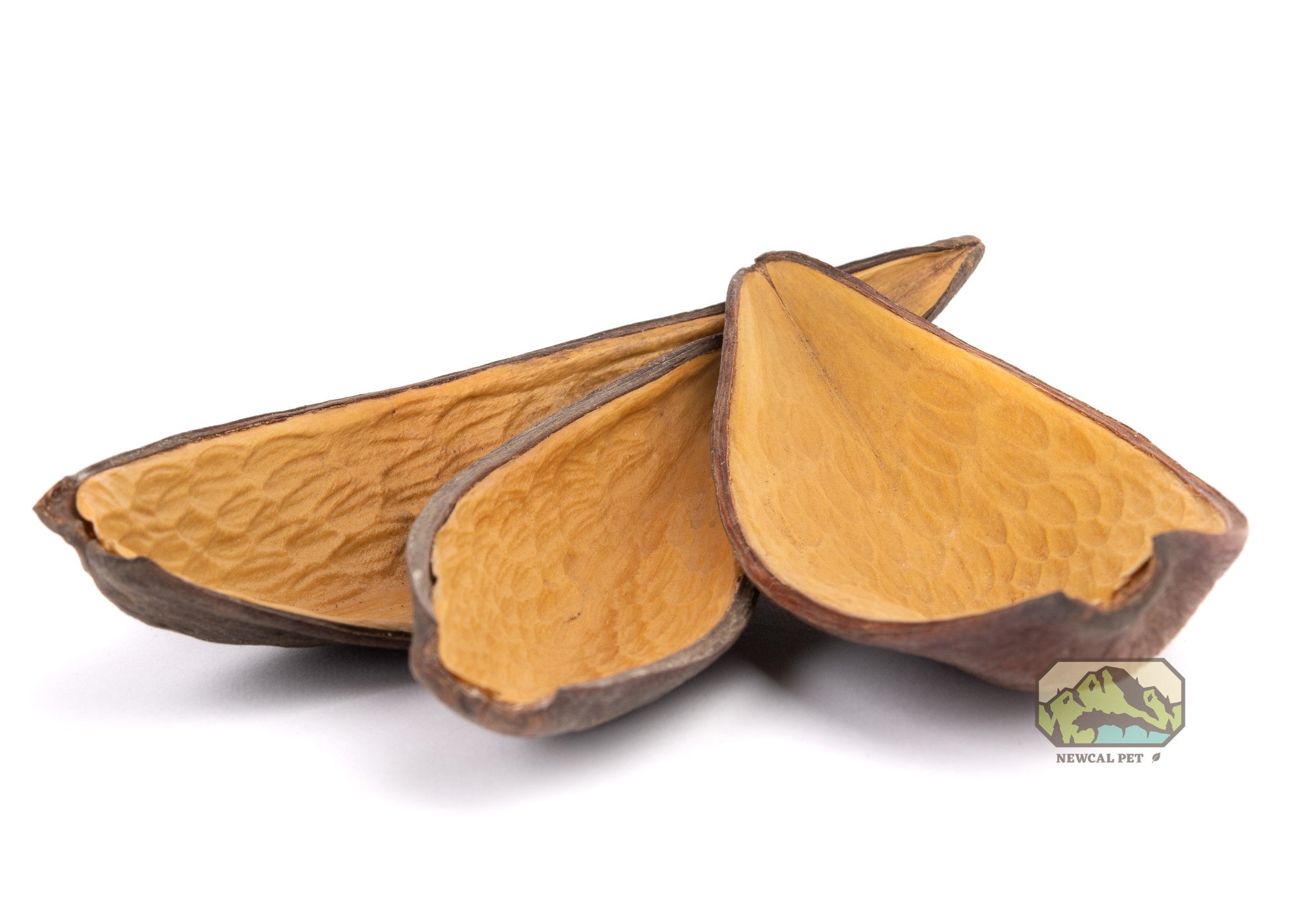 NewCal Canoinhas Pod