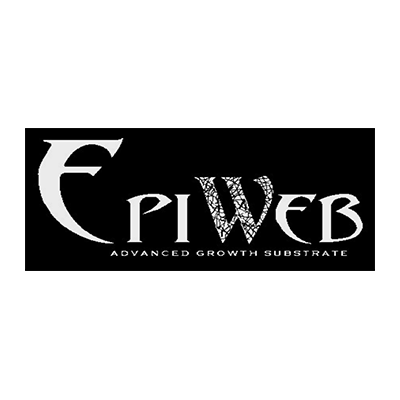 Brand: Epiweb