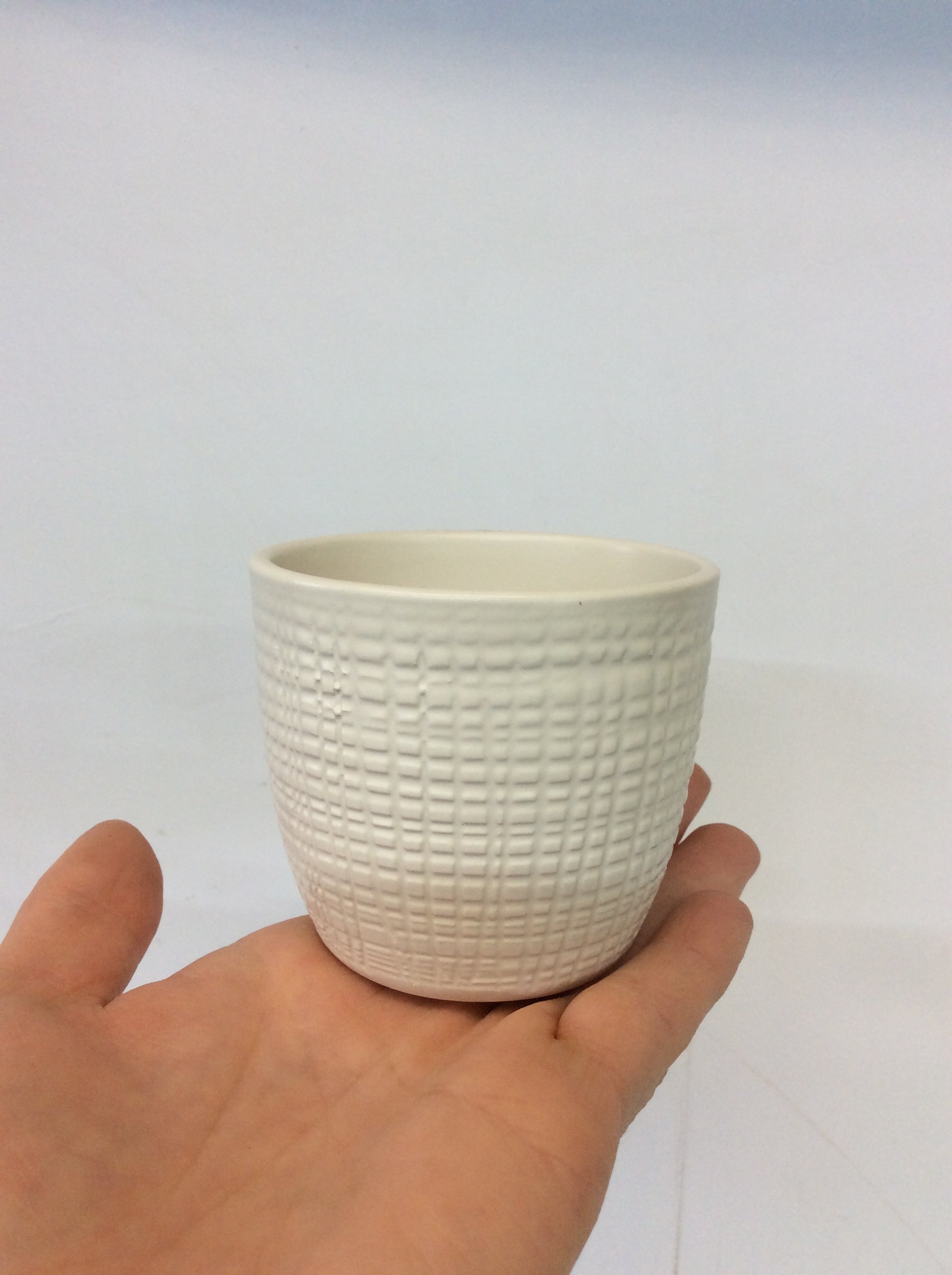 Corteza Ceramic Pot Assorted