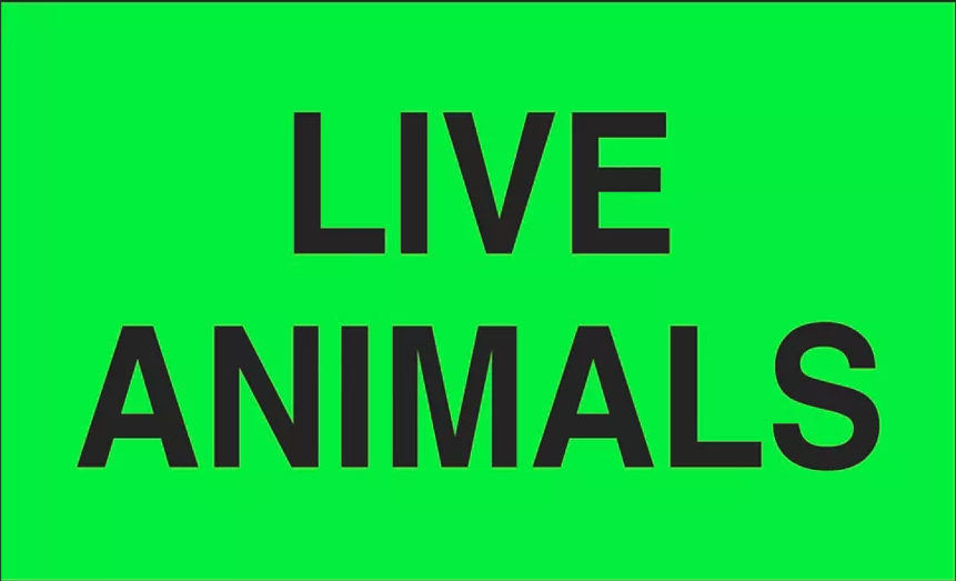 "Live Animals" Label - 3 x 5"