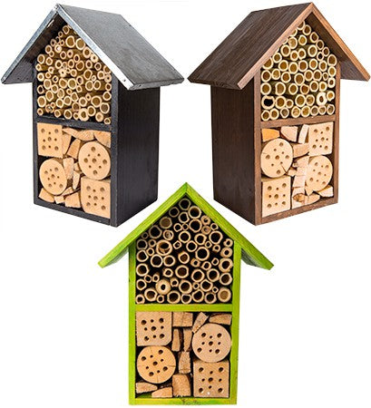 Beneficial Bug House - Tulip