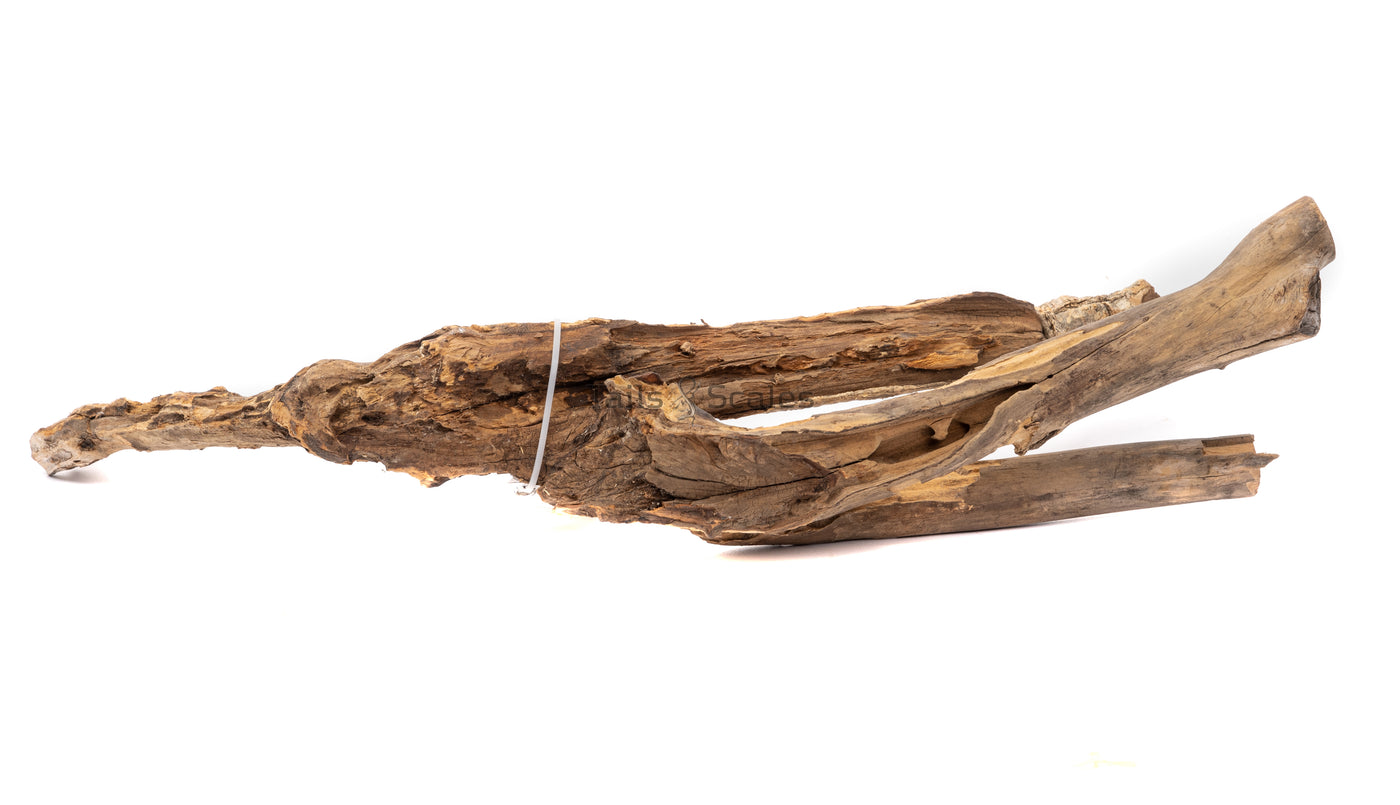 Aquarium/Reptile Products->Driftwood & Branches