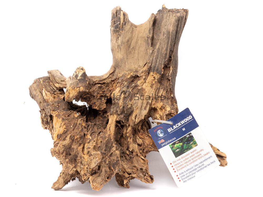Aquarium/Reptile Products->Driftwood & Branches