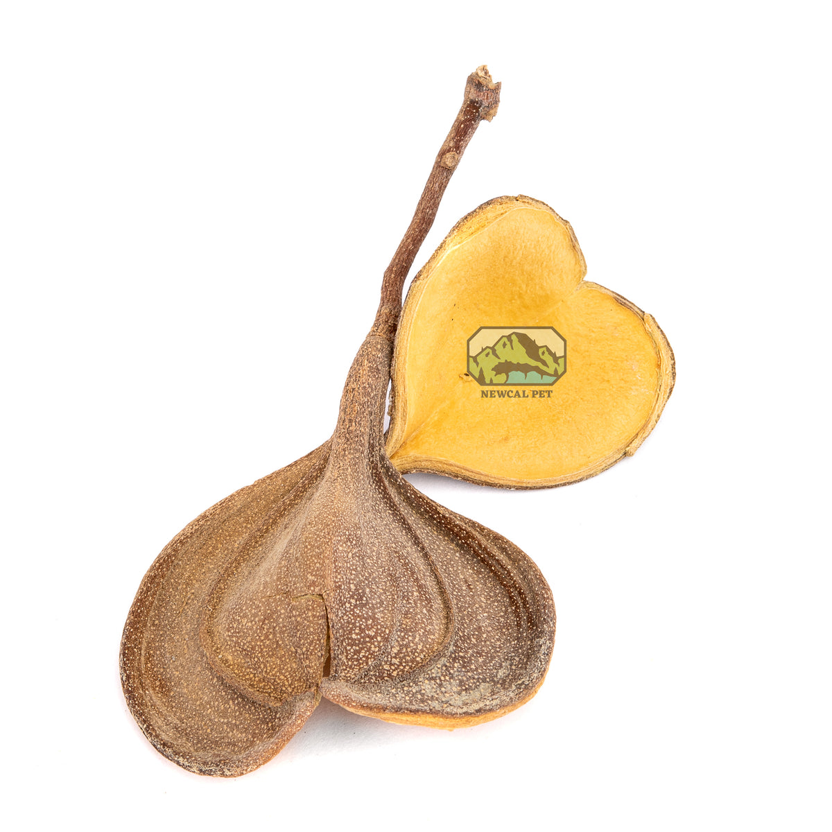 NewCal Elephant's Ear